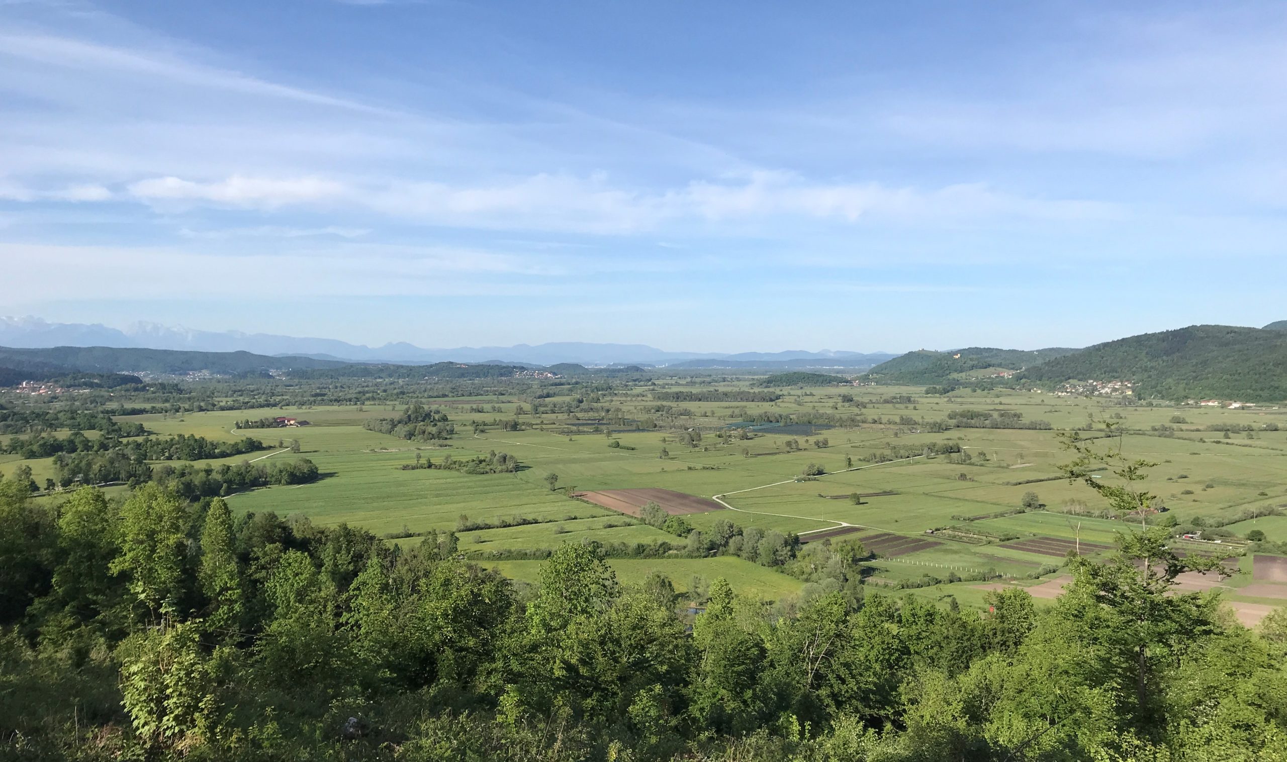 Zakladi Ljubljanskega barja – voden izlet - LIFE Naturaviva