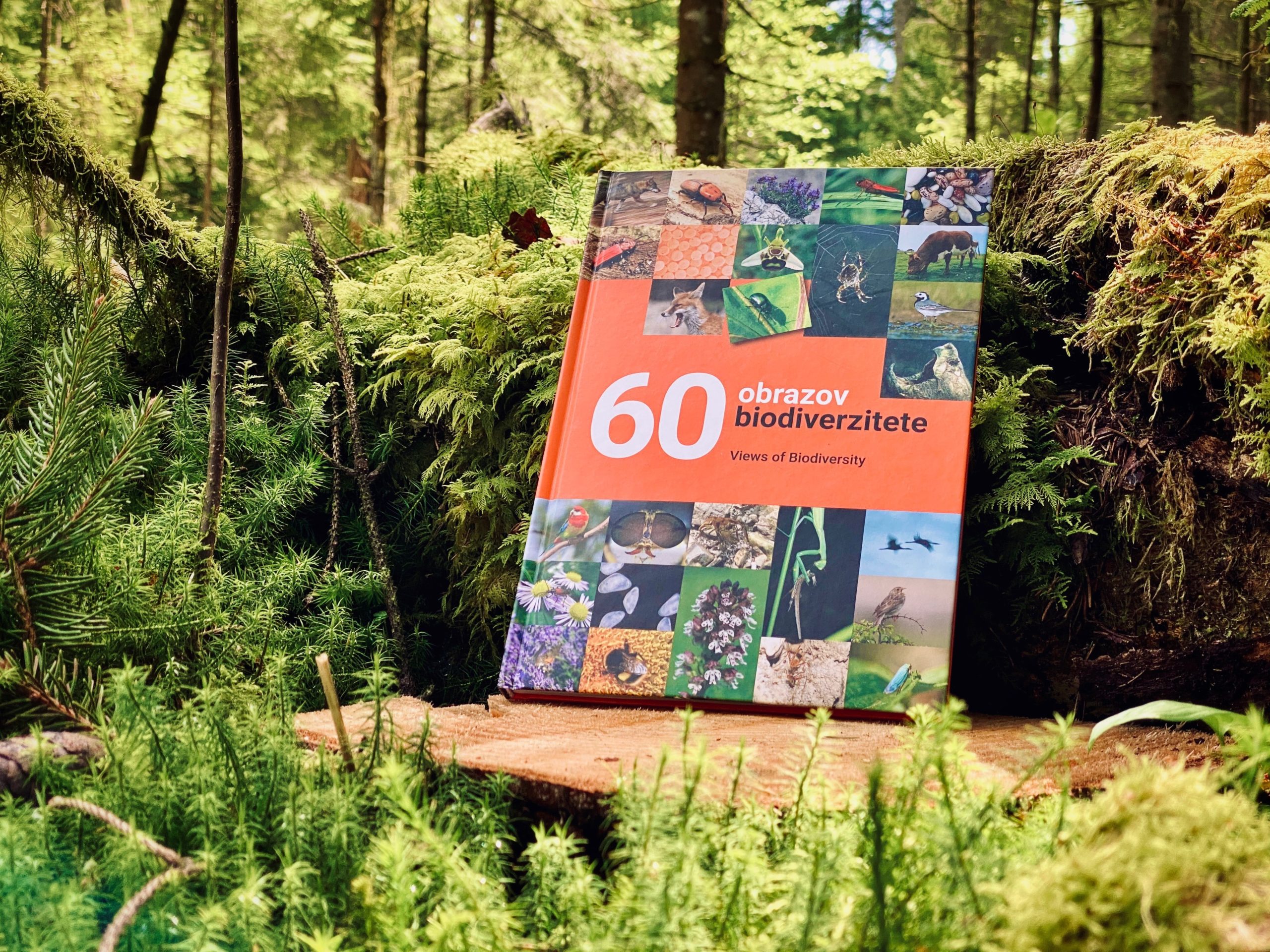 PREDAVANJA: Biodiverziteta je osnova delovanja ekosistemov - LIFE ...